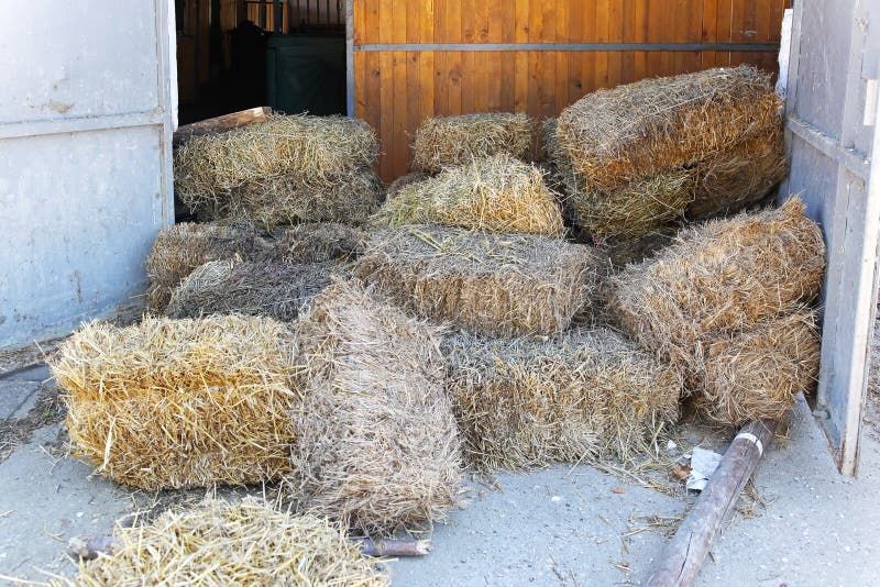 Hay stables stock photo. Image of stable, rural, grass - 33413354