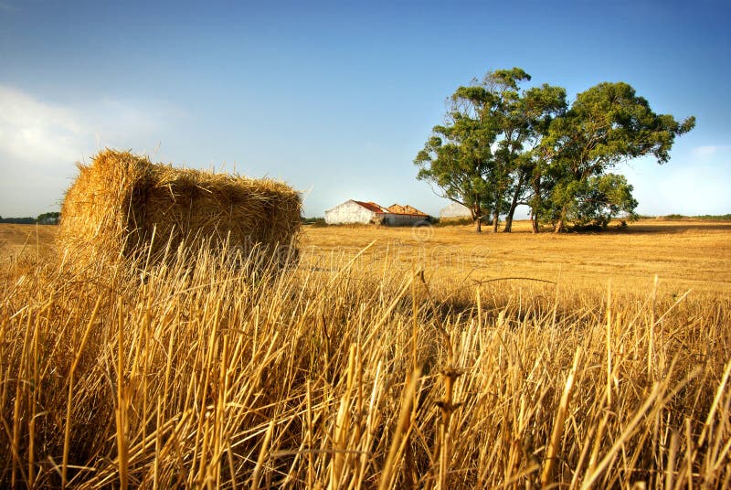 Hay Stack stock image. Image of crop, barn, golden, house - 10438797
