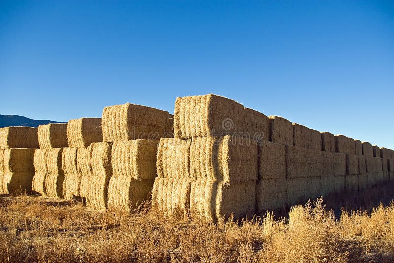 Hay Stack stock image. Image of agriculture, bale, autumn - 11652279