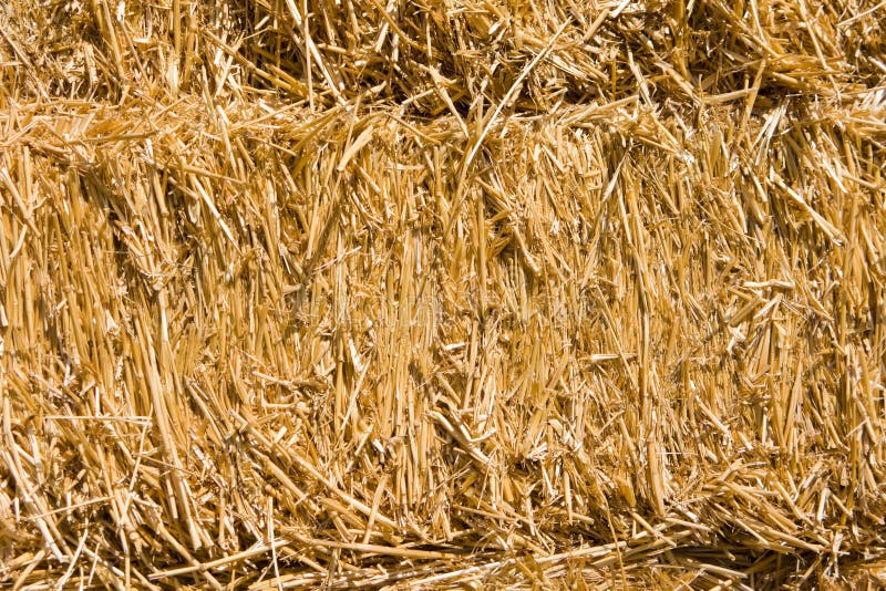 Hay Stack stock photo. Image of market, straw, feed, fall - 16505566