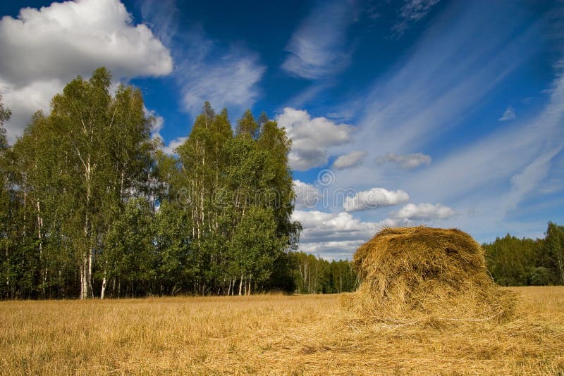 Hay stack stock photo. Image of stack, plant, field, country - 3084894