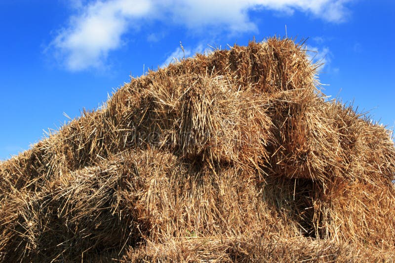 Hay Stack stock image. Image of country, cloud, animals - 3096789