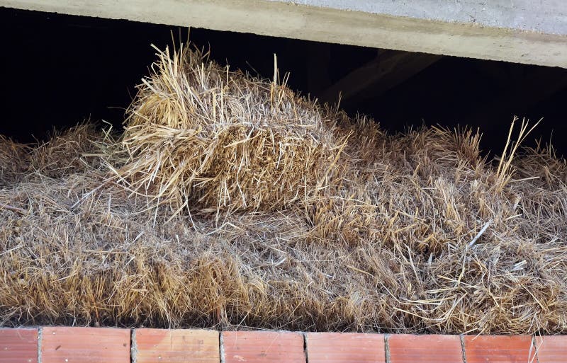Hay stack stock image. Image of animals, haystack, feed - 38010369