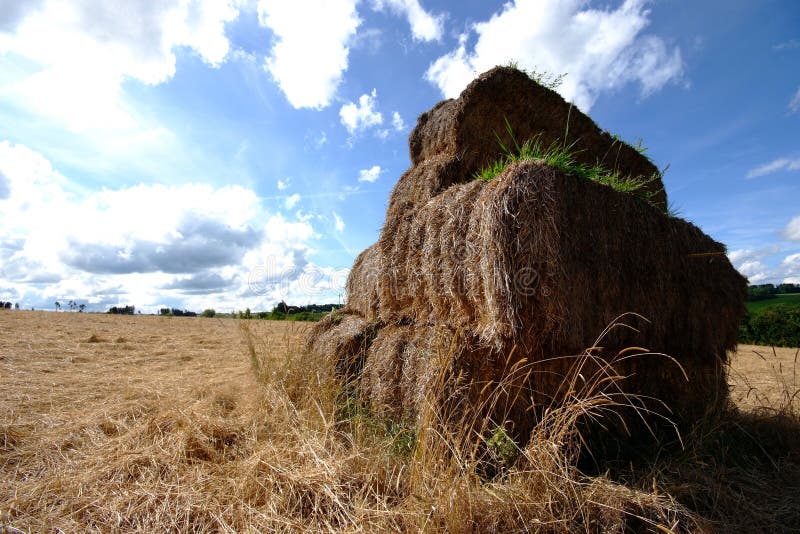 Hay Stack stock image. Image of corn, garden, tree, farming - 6460979