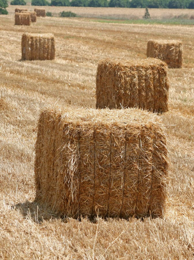 Hay stack stock image. Image of rural, farming, bale, haystack - 6490419