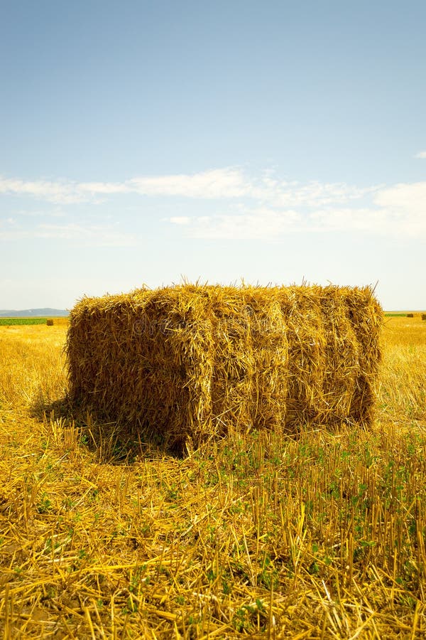 Hay Stack on the Agriculture Field - Vertical View Stock Image - Image ...