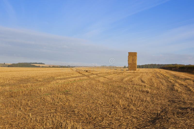Hay stack in autumn stock photo. Image of stubble, harvest - 60770606