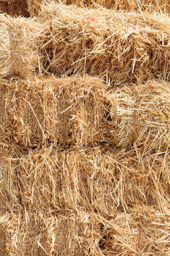 Stack of hay bales stock photo. Image of countryside - 16843958