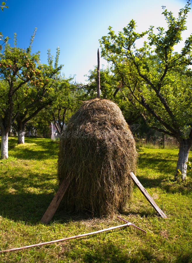 Hay stack stock photo. Image of pasture, countryside - 33547046
