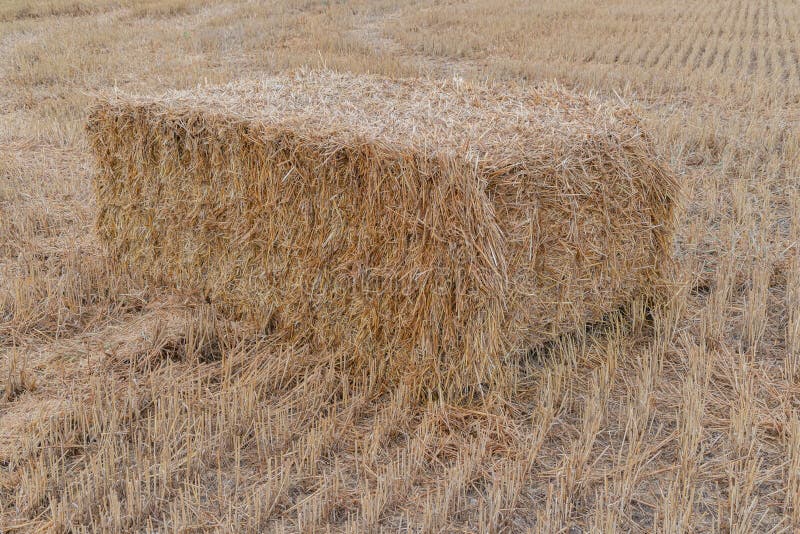 Hay Stack Cube Sqaure Package Harvest Crop Dry Grain Stock Photo ...