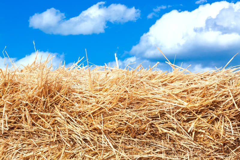 Hay stack detail. stock image. Image of farmland, barbed - 15699115
