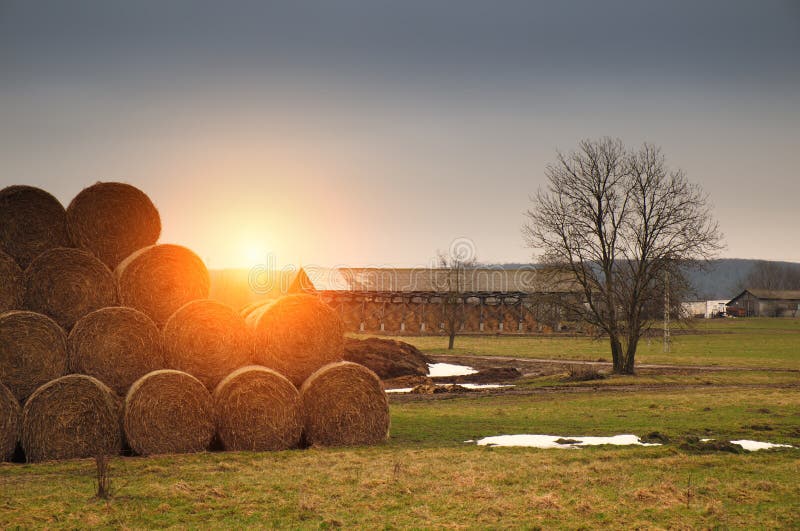 Hay stack farmland stock photo. Image of field, outdoor - 118510764