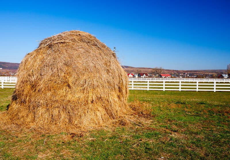 Stack of Hay on a Green Meadow in the Mountains Stock Photo - Image of ...