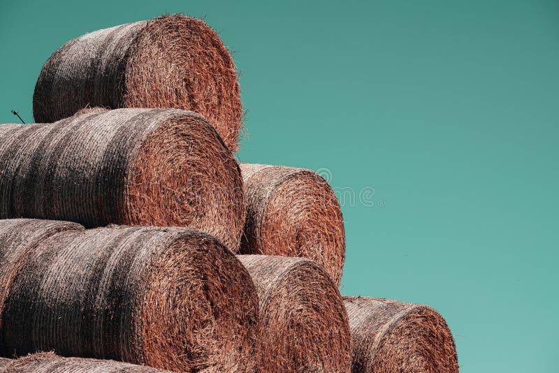 Hay Stack Piles in Nature stock image. Image of germany - 222345885