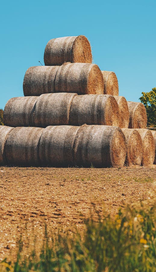 Hay Stack Piles in Nature stock photo. Image of hochsauerlandkreis ...