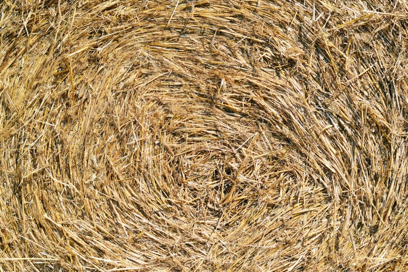 Hay stack texture stock photo. Image of hayrick, farmland - 151731848