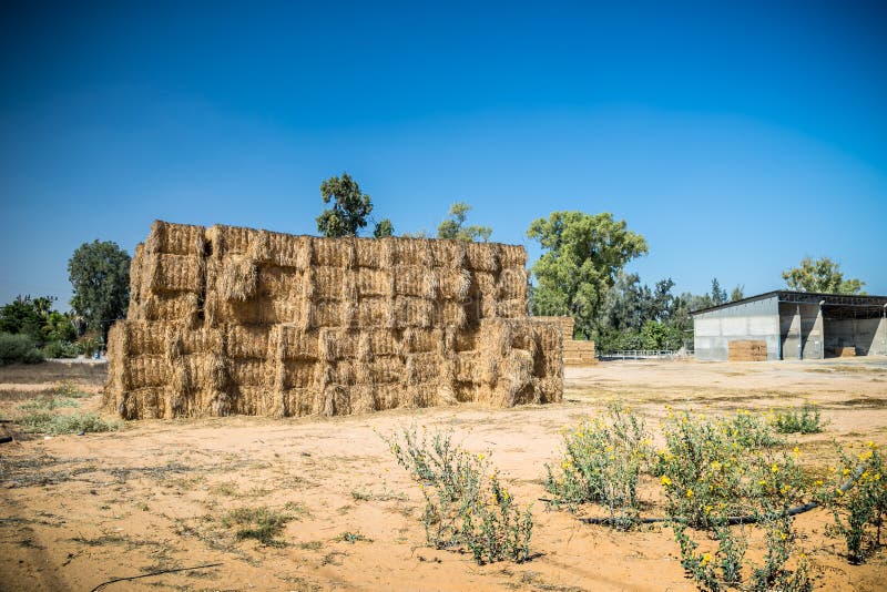 Hay Stack Wall. Straw Bales Stock Image - Image of bale, crop: 133927681