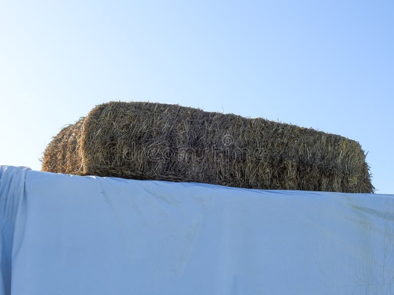 Hay Stacked on a Construction Covered by White Textile Stock Photo ...