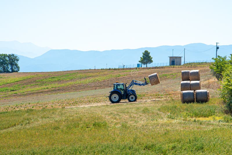 Hay is Stacked by the Tractor. Work in the Countryside Stock Image ...