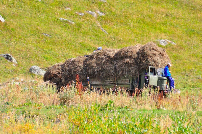 Hay Stacked on Truck editorial stock image. Image of garden - 27103089