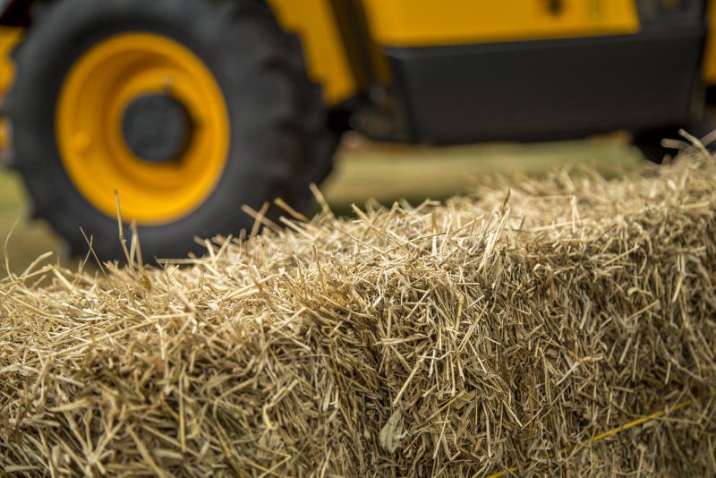 Hay stacker stock image. Image of crop, tractor, agriculture - 95549537