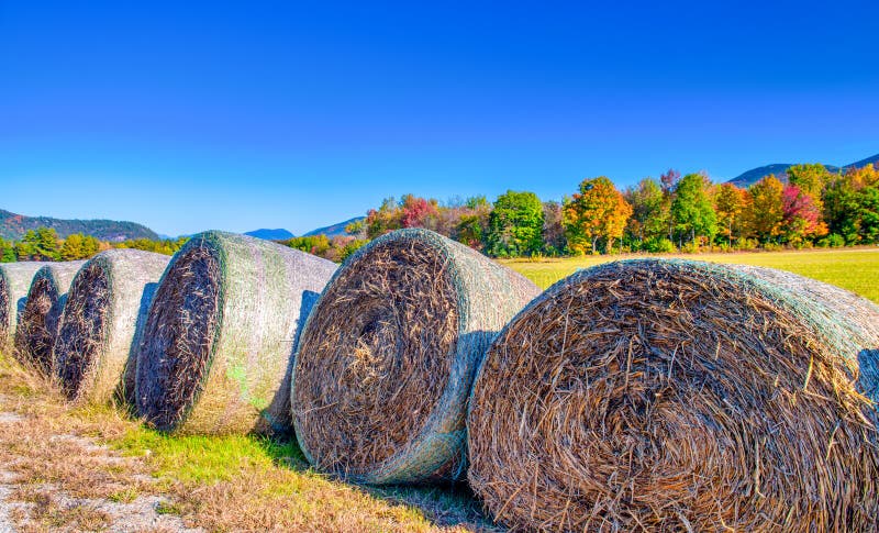Hay Stacks Along the Road in a Foliage Landscape Stock Photo - Image of ...