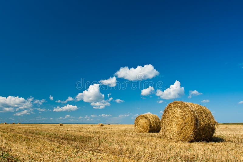 Hay bale in a farm field stock photo. Image of gold - 128770484