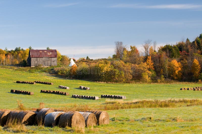Hay Stacks with Barn on a Fall Morning Stock Photo - Image of grass ...