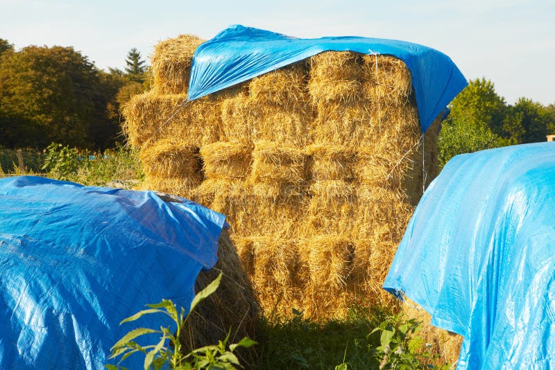 Grangers Fruited Stock Photos - Free & Royalty-Free Stock Photos from ...