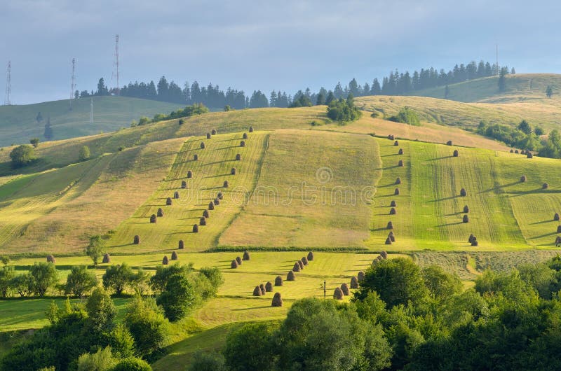 Hay stacks on the meadow stock image. Image of fresh - 33585337