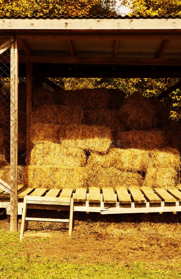 Hay storage. stock image. Image of autumn, yellow, wood - 40221259
