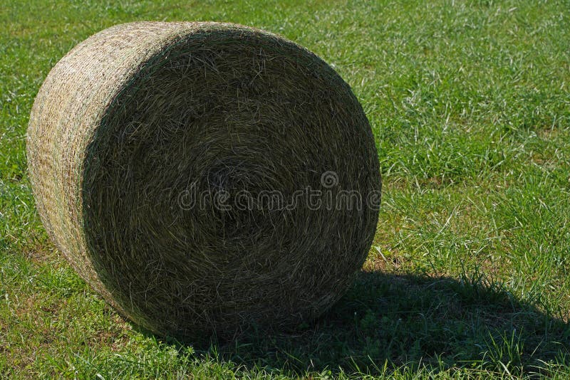 Straw bales stock image. Image of economics, autumn - 198326359