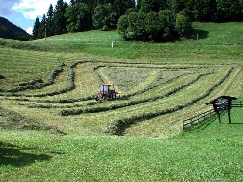 Hay Tedder Machine in Agriculture Stock Image - Image of forage, area ...