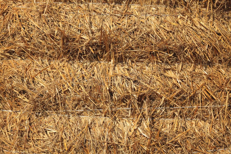 Hay texture stock image. Image of farm, crop, texture - 12344703