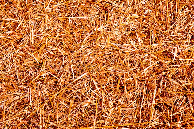 Hay texture stock image. Image of ocher, piece, texture - 182845593