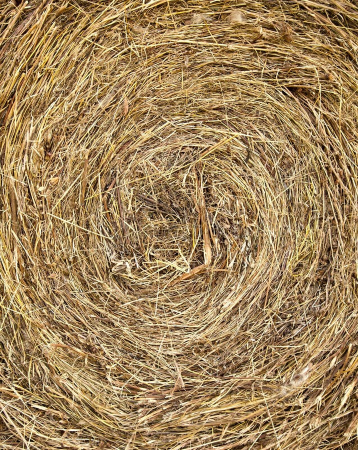 Hay texture stock image. Image of wheat, nature, gold - 20771129