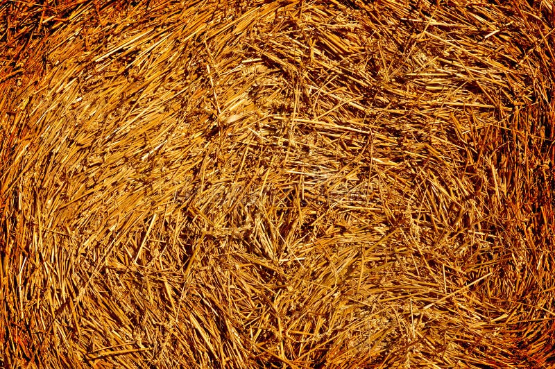 Hay texture background stock image. Image of yellow, christmas - 20986057