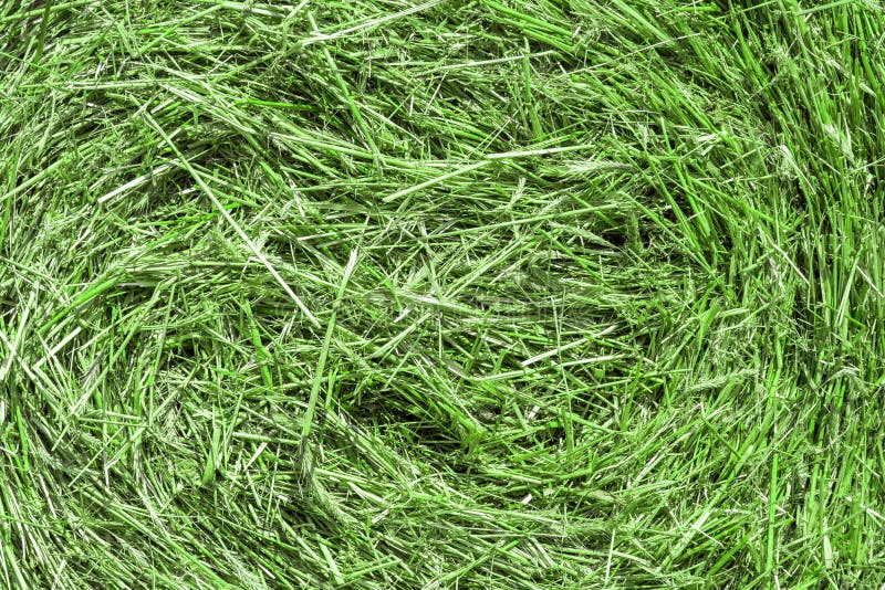 Hay texture stock image. Image of crop, grass, straw - 251189797