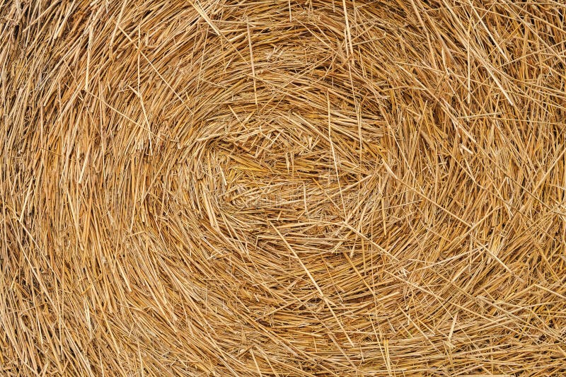 Hay Texture. Hay Bale is Stacked in Large Stack. Rural Autumn with Hay ...