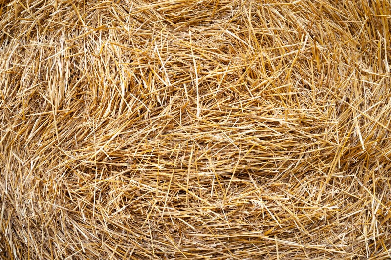 Hay Texture. Hay Bales are Stacked in Large Stacks Stock Image - Image ...