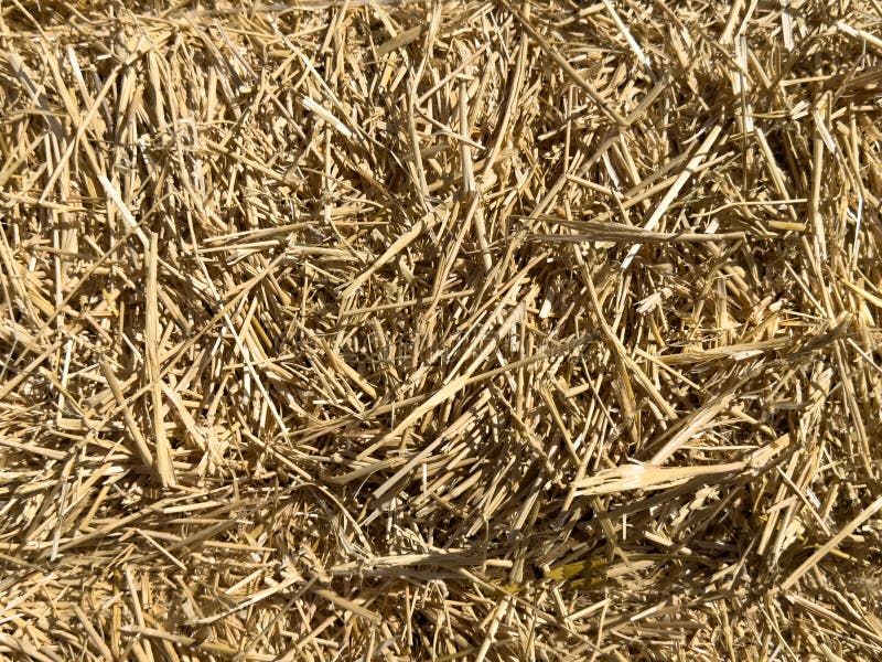 Hay Texture. Hay Bales Stacked in Large Stacks Stock Photo - Image of ...