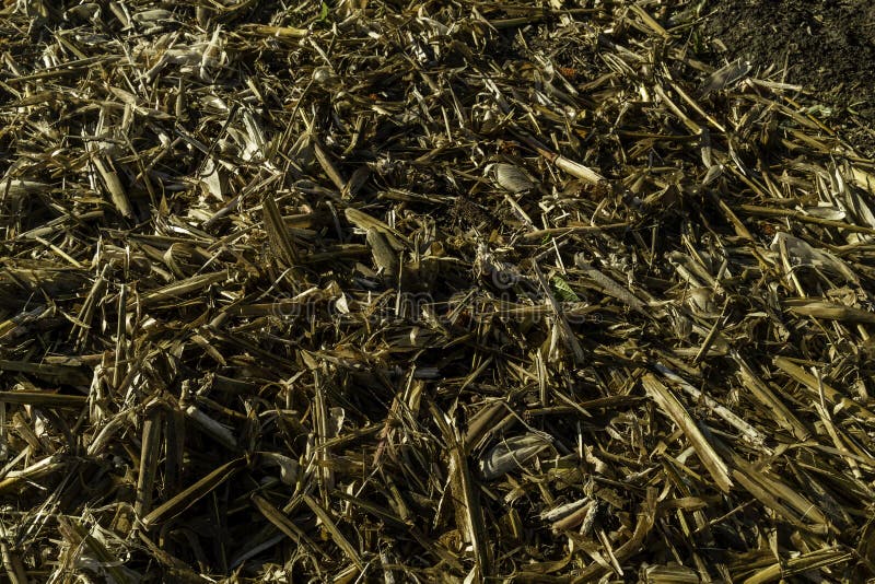 Hay Texture stock image. Image of field, haystack, farm - 47377325