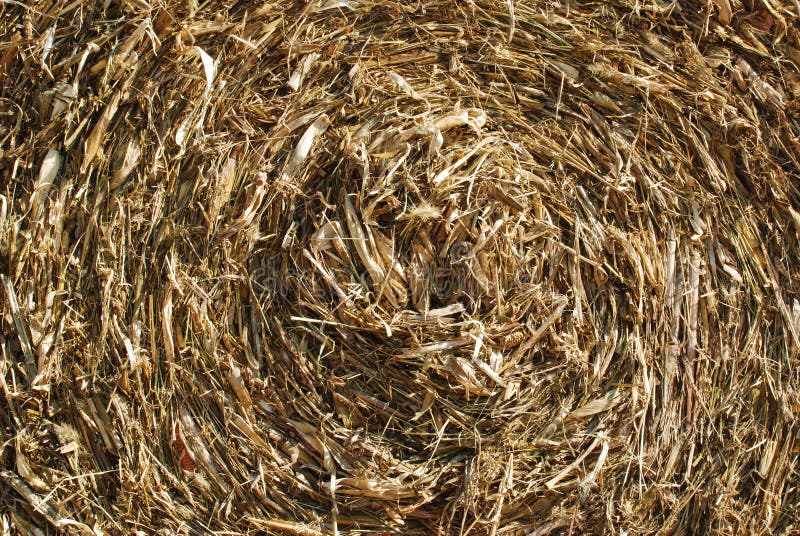 Hay Texture stock photo. Image of texture, straw, circular - 36865526