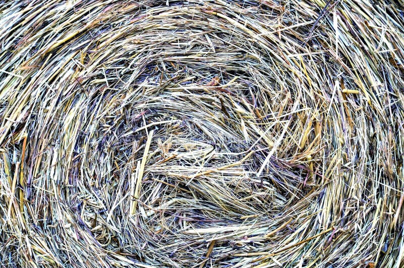 Hay Texture stock photo. Image of autumn, crop, outdoor - 154130044