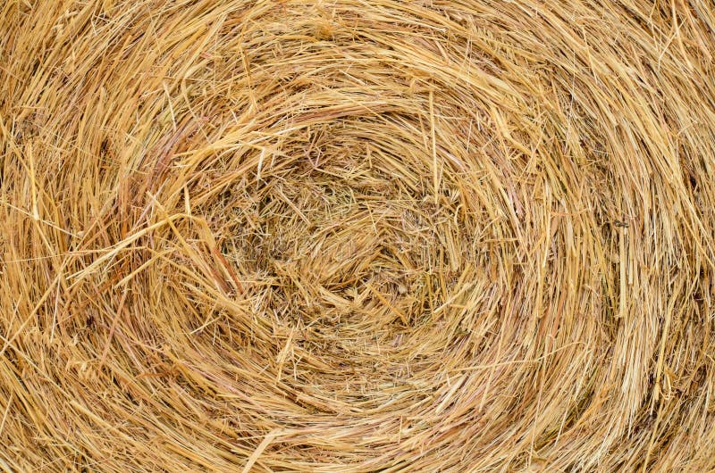 Hay Texture stock image. Image of grow, landscape, outdoor - 45227203