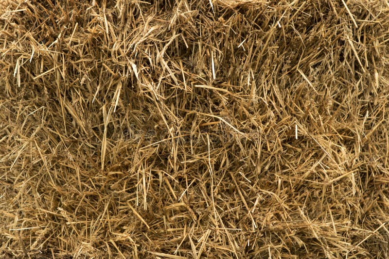 Hay textured background stock photo. Image of background - 84406460