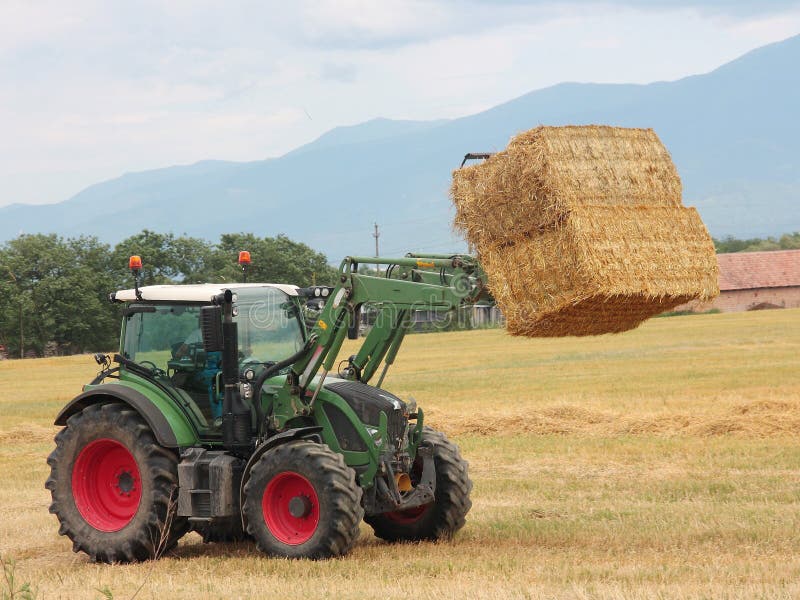Hay Tractor Stacking Hay Bales Stock Image - Image of farm, nature ...