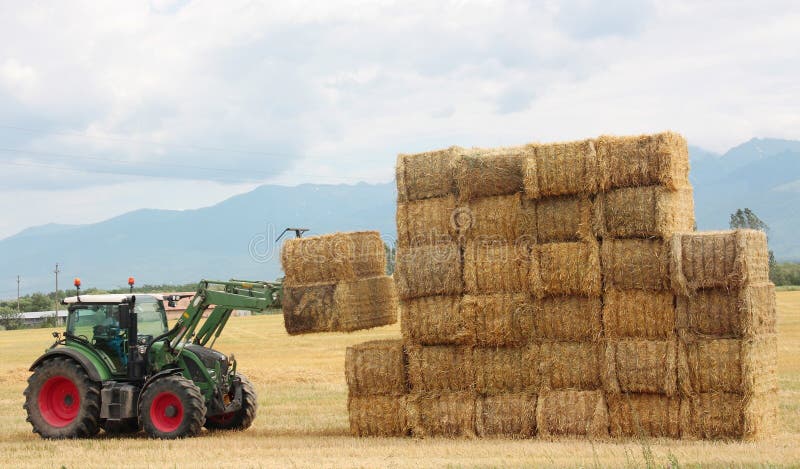 Hay Tractor Stacking Hay Bales on a Big Pile Stock Photo - Image of ...