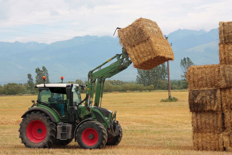 Stacking Hay Bales stock image. Image of dried, stacking - 20351513