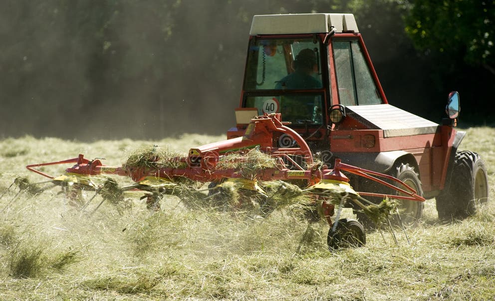 Hay turner stock image. Image of harvest, meadow, trees - 14935847